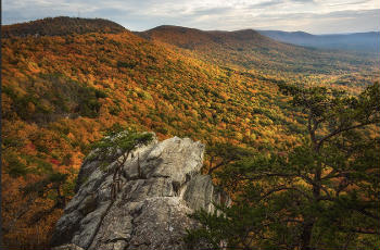 Camping Reservations | Cheaha State Park
