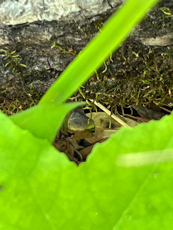 Program Calendar | Alabama State Parks