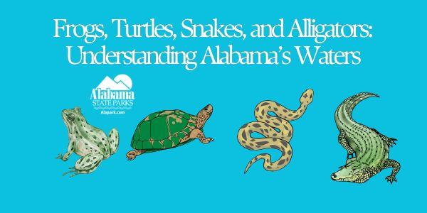 Program Calendar | Alabama State Parks