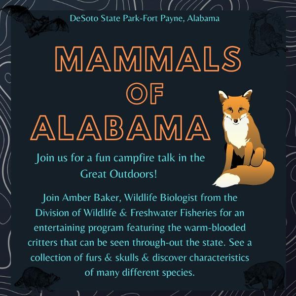 Campfire Talk: Mammals of Alabama | Alabama State Parks