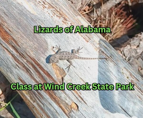 Program Calendar | Alabama State Parks