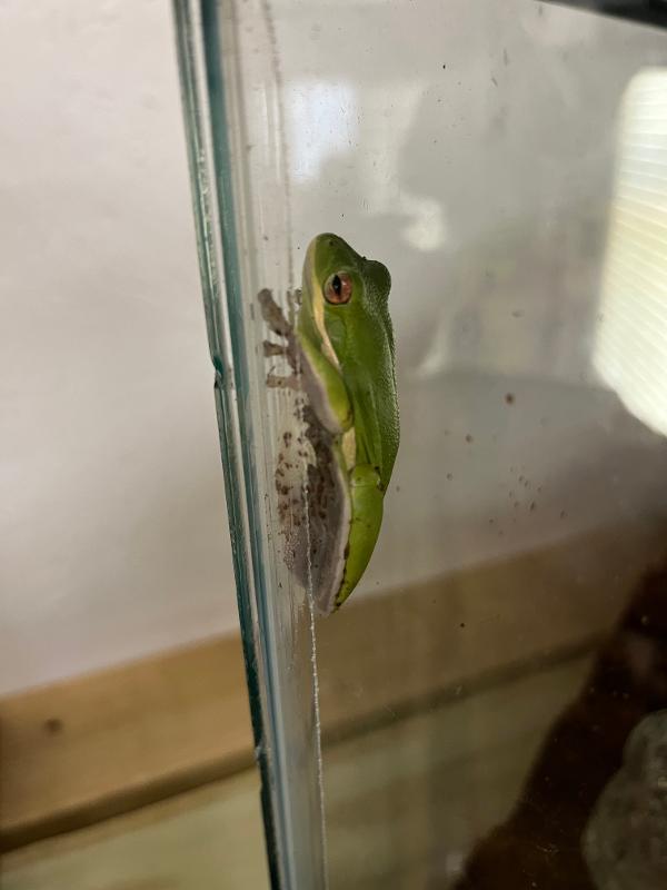 Park Events | Alapark