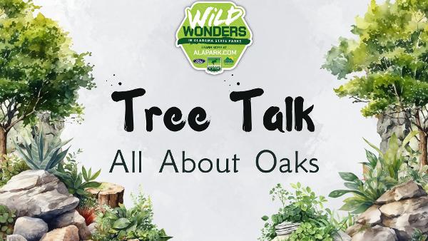 Program Calendar | Alabama State Parks