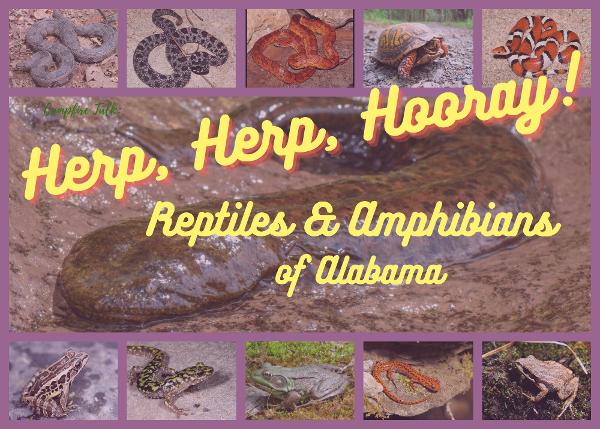 Herp Herp, Hooray! Reptiles & Amphibians of Alabama | Alabama State Parks