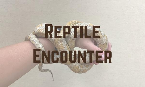 Reptile Encounter | Alabama State Parks