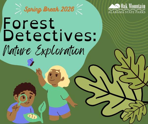 Forest Detectives: Nature Exploration | Alabama State Parks